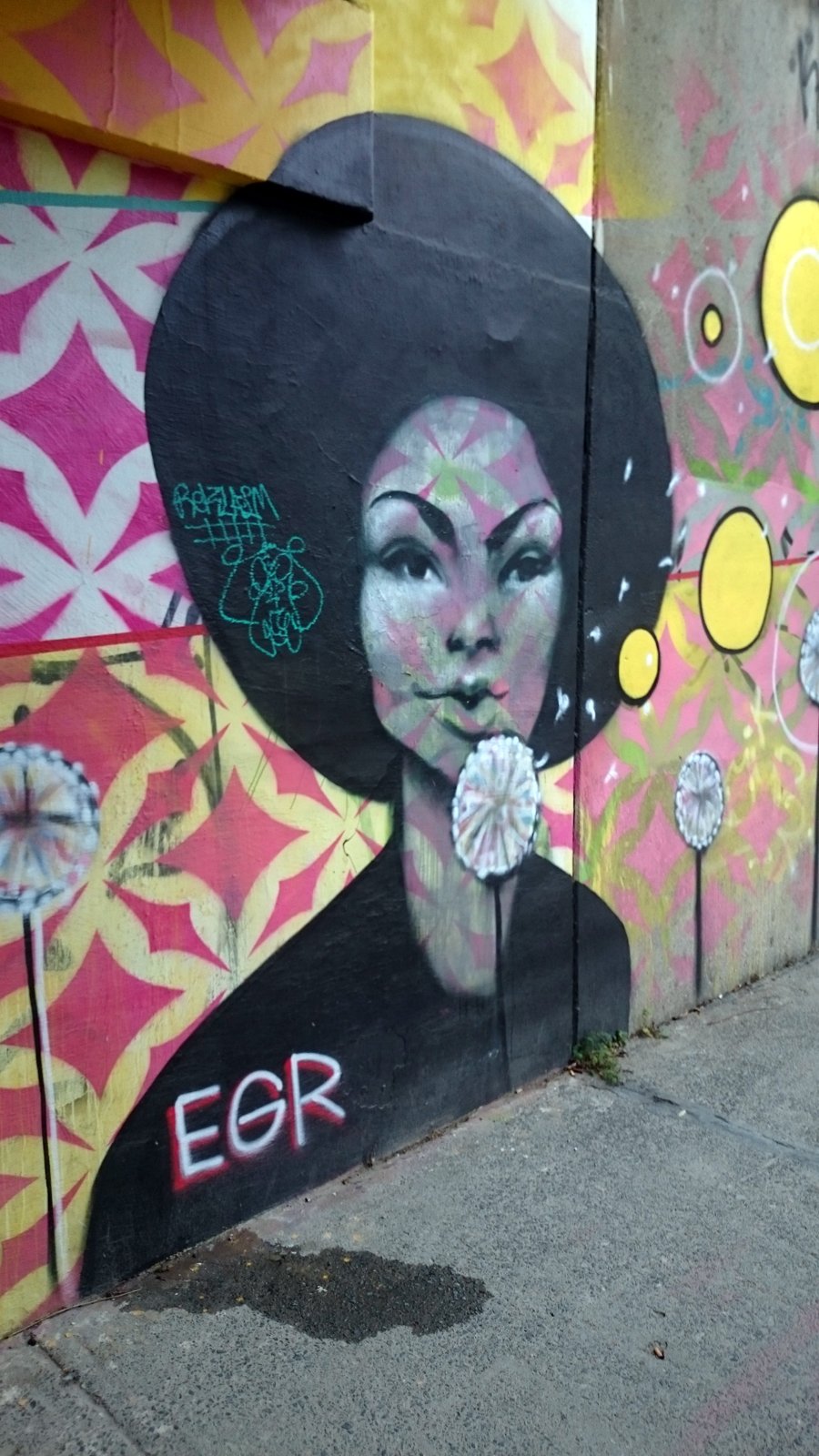Junction Triangle Murals | Toronto Street Art & Graffiti