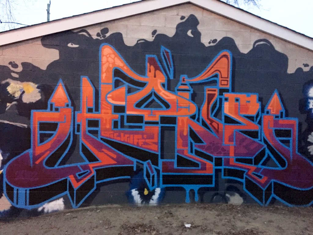 Toronto Street Art Graffiti | Garage Door Mural Artwork Great Finds