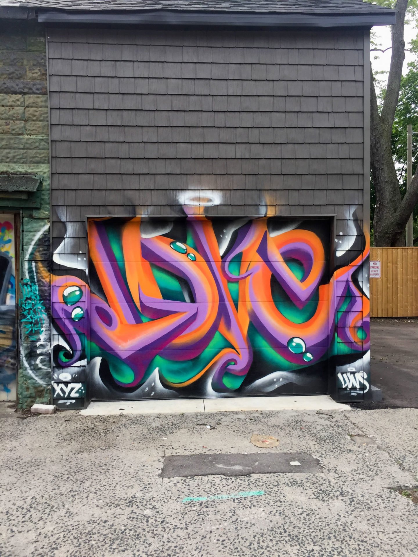 Toronto Graffiti Street Art | Moises Frank Luvsumone Aerosol Murals